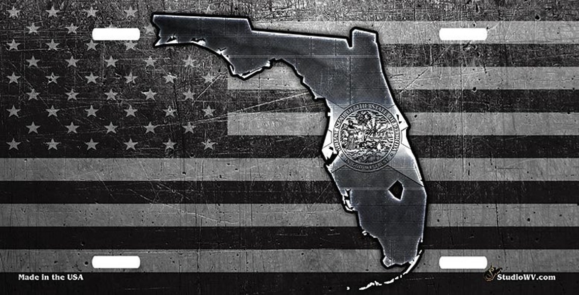 Florida Custom License Plate Custom Car Tag FSU - Etsy