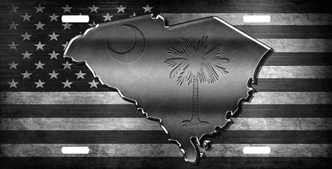 South Carolina SC State Custom License Plate Custom Car - Etsy