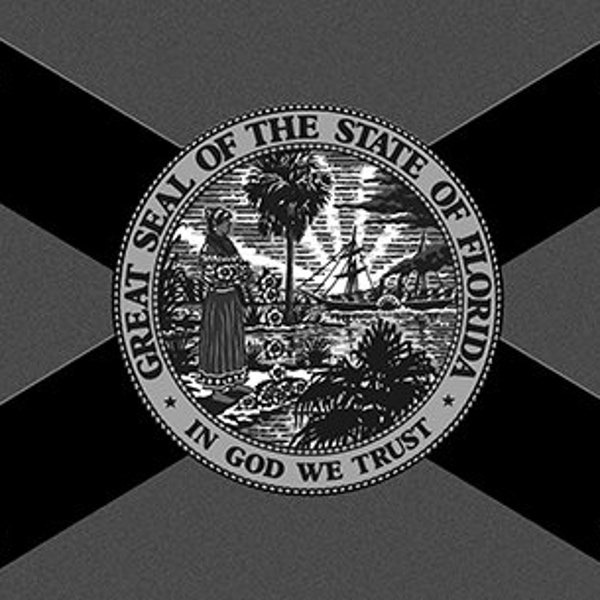 Florida Personalized License Plate - Etsy