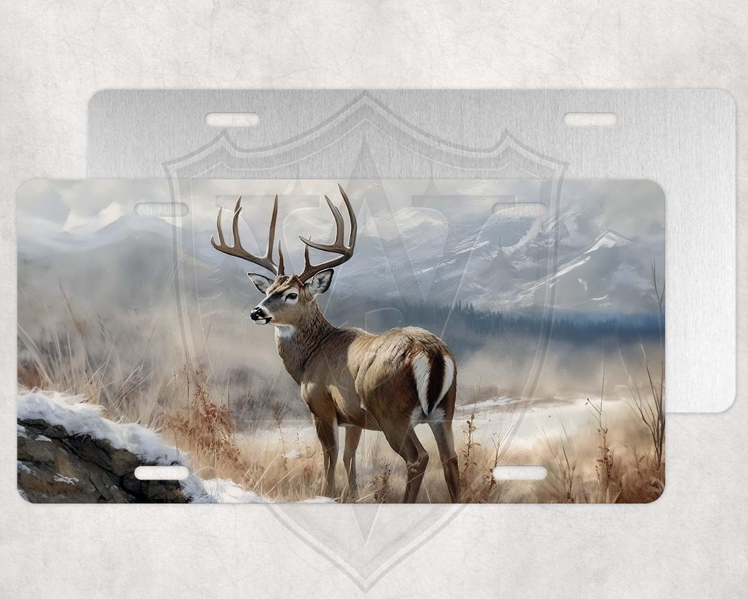 Custom License Plate - Custom Car Tag - Personalized License Plate ...