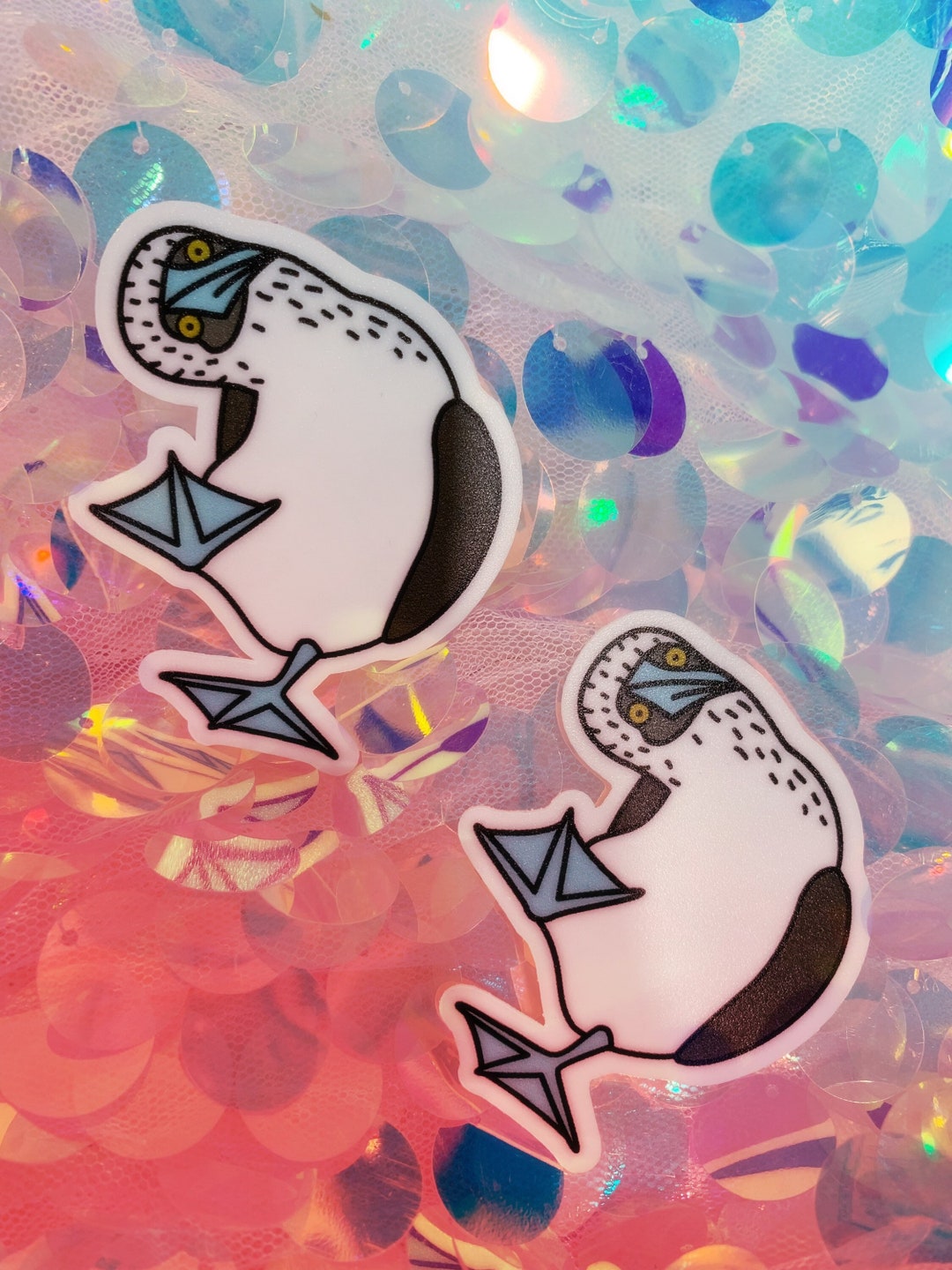 The Blue Footed Booby Waterproof 3M Vinyl Sticker - Etsy