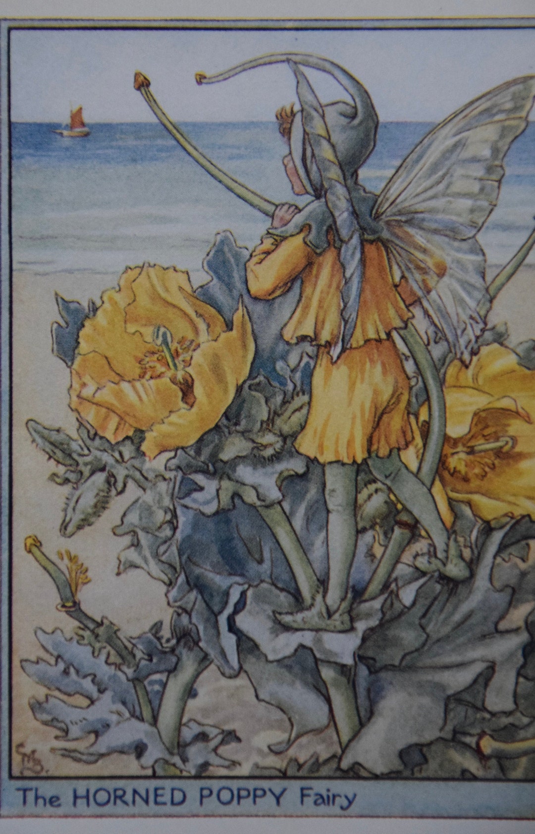 Print,"the Horned Poppy Fairy"by Cicely Mary Barker.from Flower Fairies ...