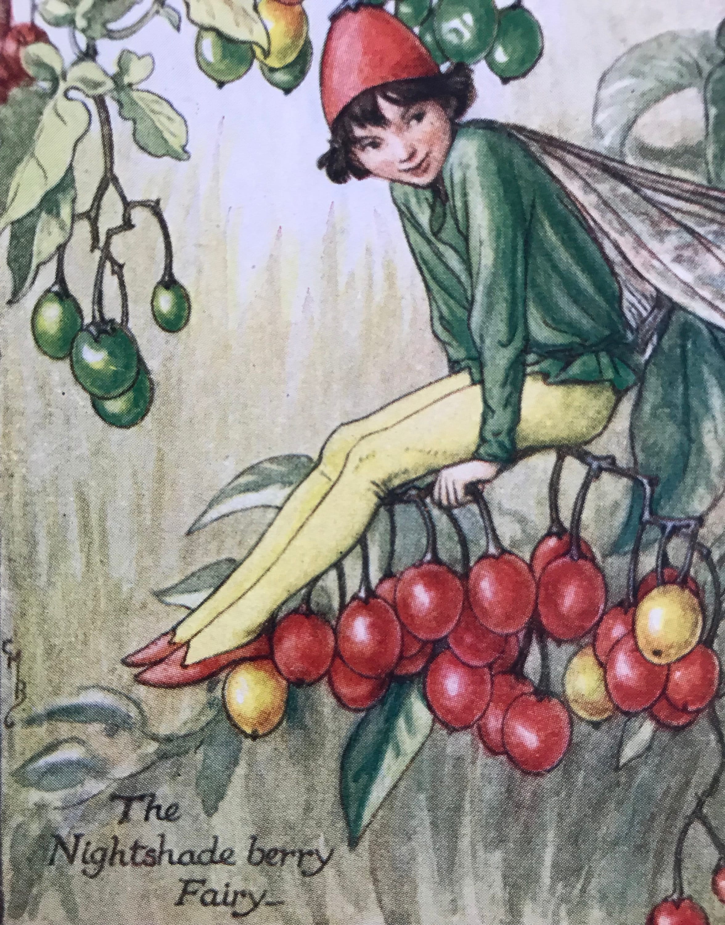 Nightshade Berry Fairy Print by Cicely Mary Barker: Autumn Flower ...