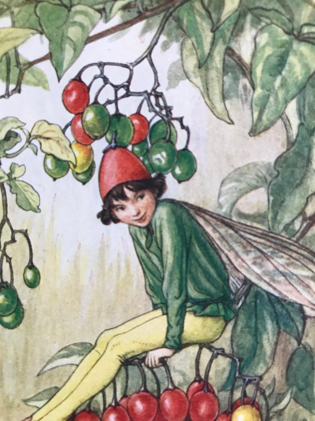 Nightshade Berry Fairy Print by Cicely Mary Barker: Autumn Flower ...