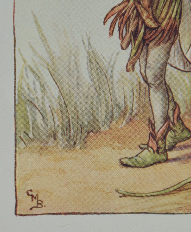 Flower Fairy Print,"the Colt's Foot Fairy"by Cicely Mary Barker.from ...