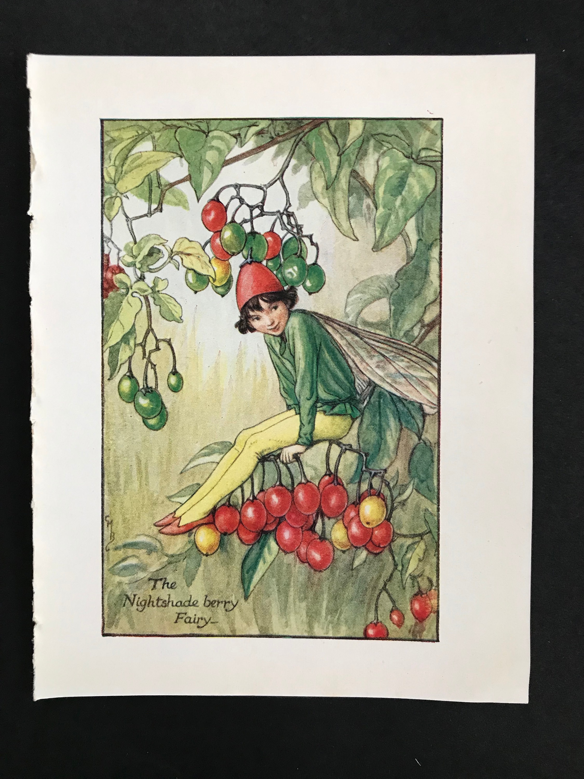 Nightshade Berry Fairy Print by Cicely Mary Barker: Autumn Flower ...