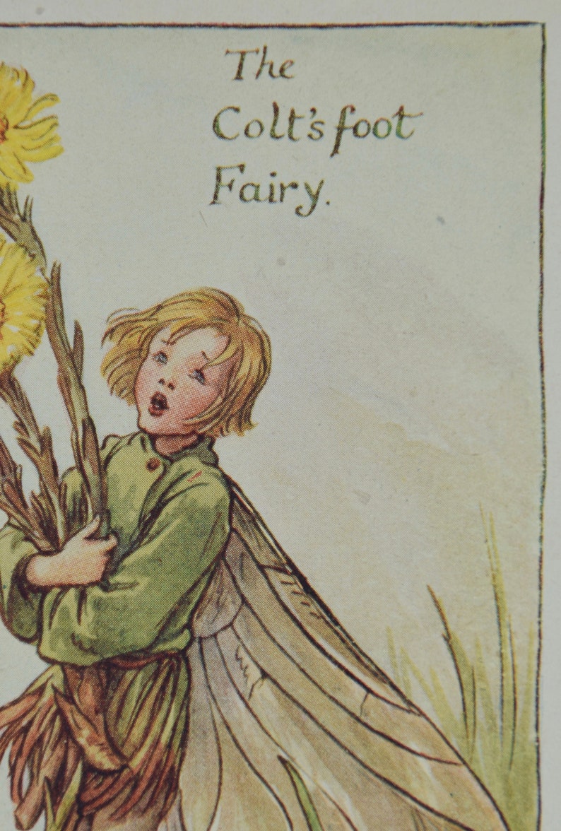 Flower Fairy Print,"the Colt's Foot Fairy"by Cicely Mary Barker.from ...