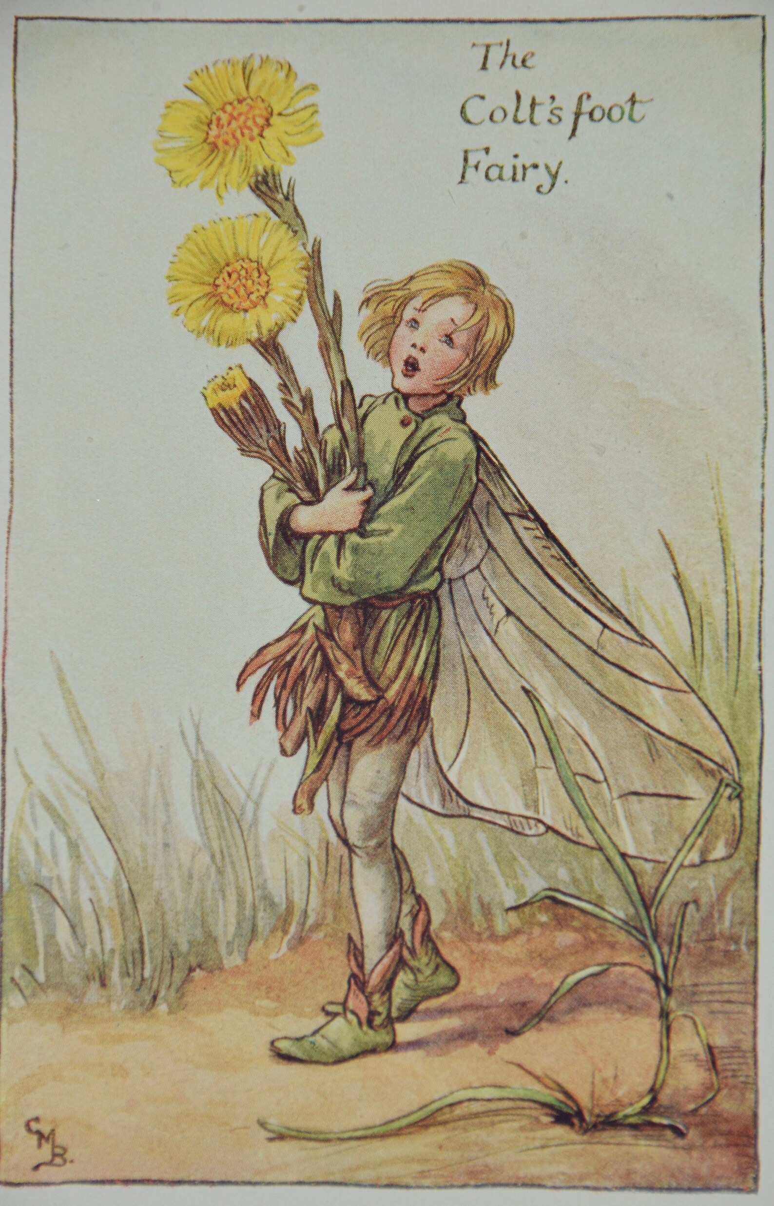 Flower Fairy Print,"the Colt's Foot Fairy"by Cicely Mary Barker.from ...