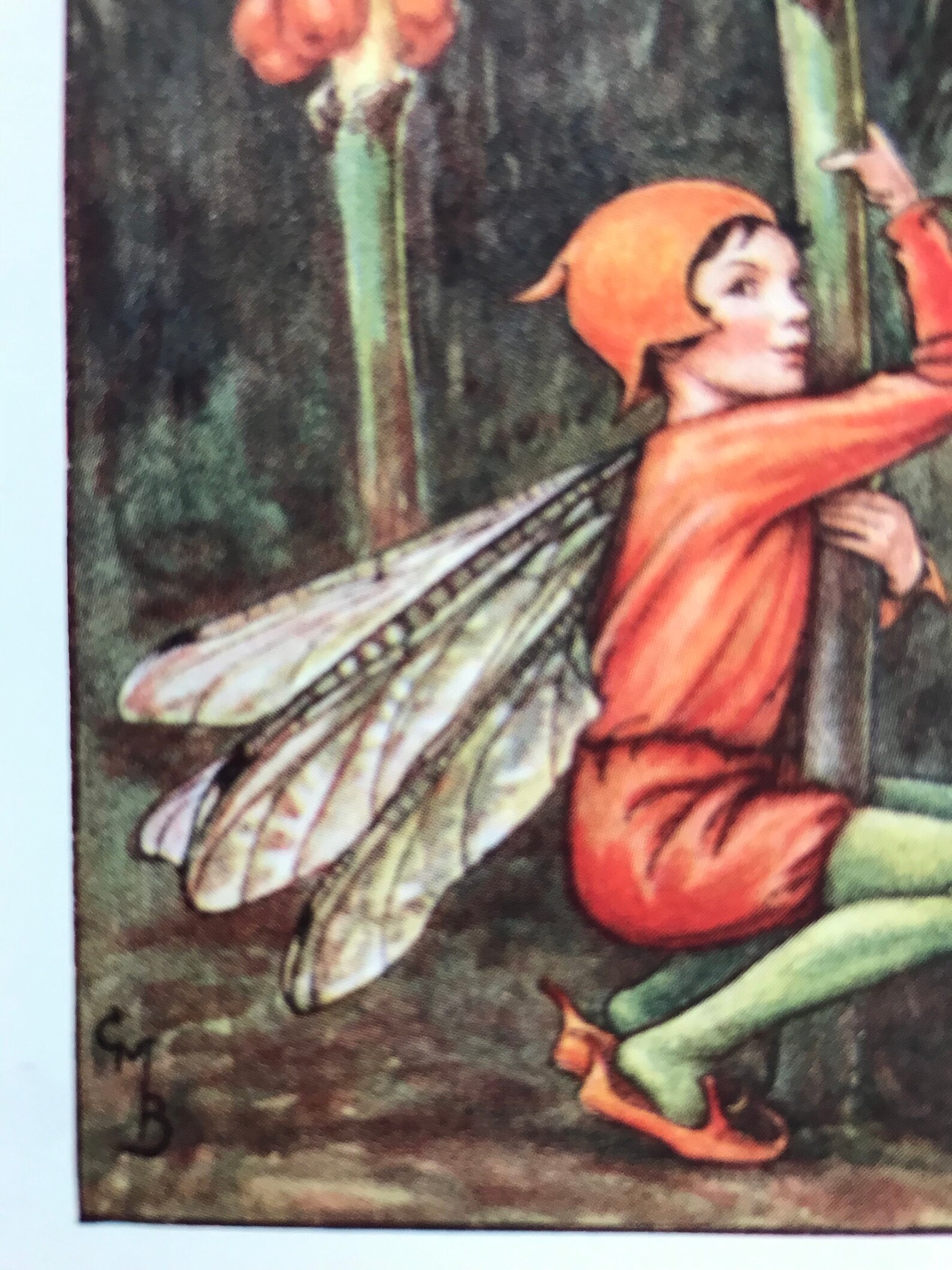 Flower Fairy Print,"the Lords-and-ladies Fairy"by Cicely Mary Barker ...
