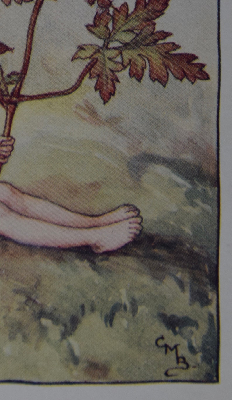 The Herb Robert Flower Fairy Printby Cicely Mary - Etsy