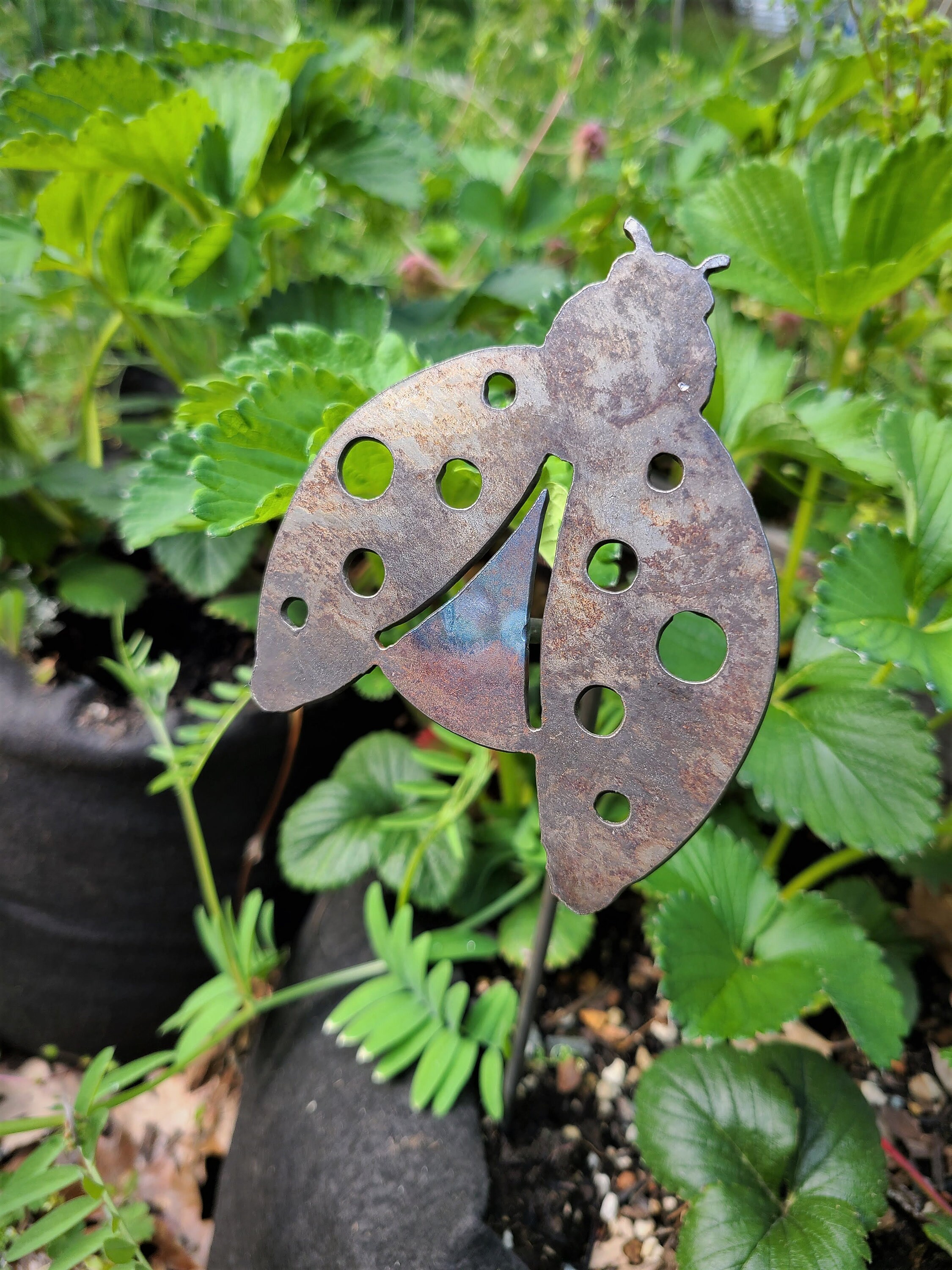 Metal Ladybug Decorative Garden Stake - Etsy