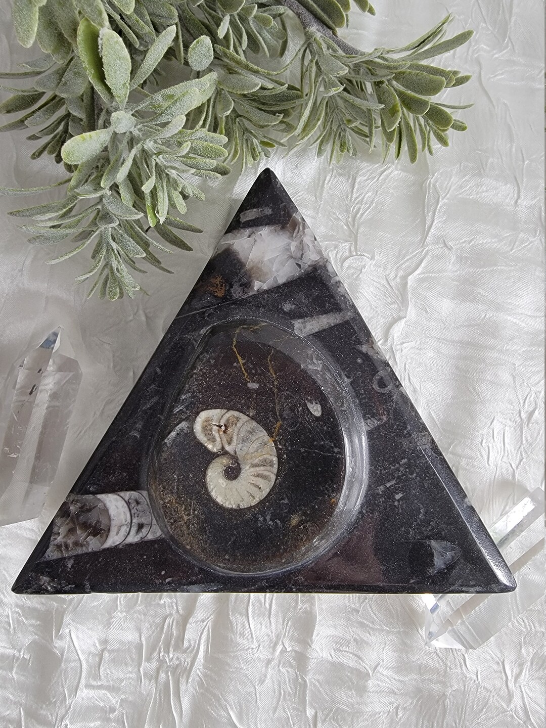 Ammonite Fossil Trilobite Triangle Triangular Carved Lidded - Etsy