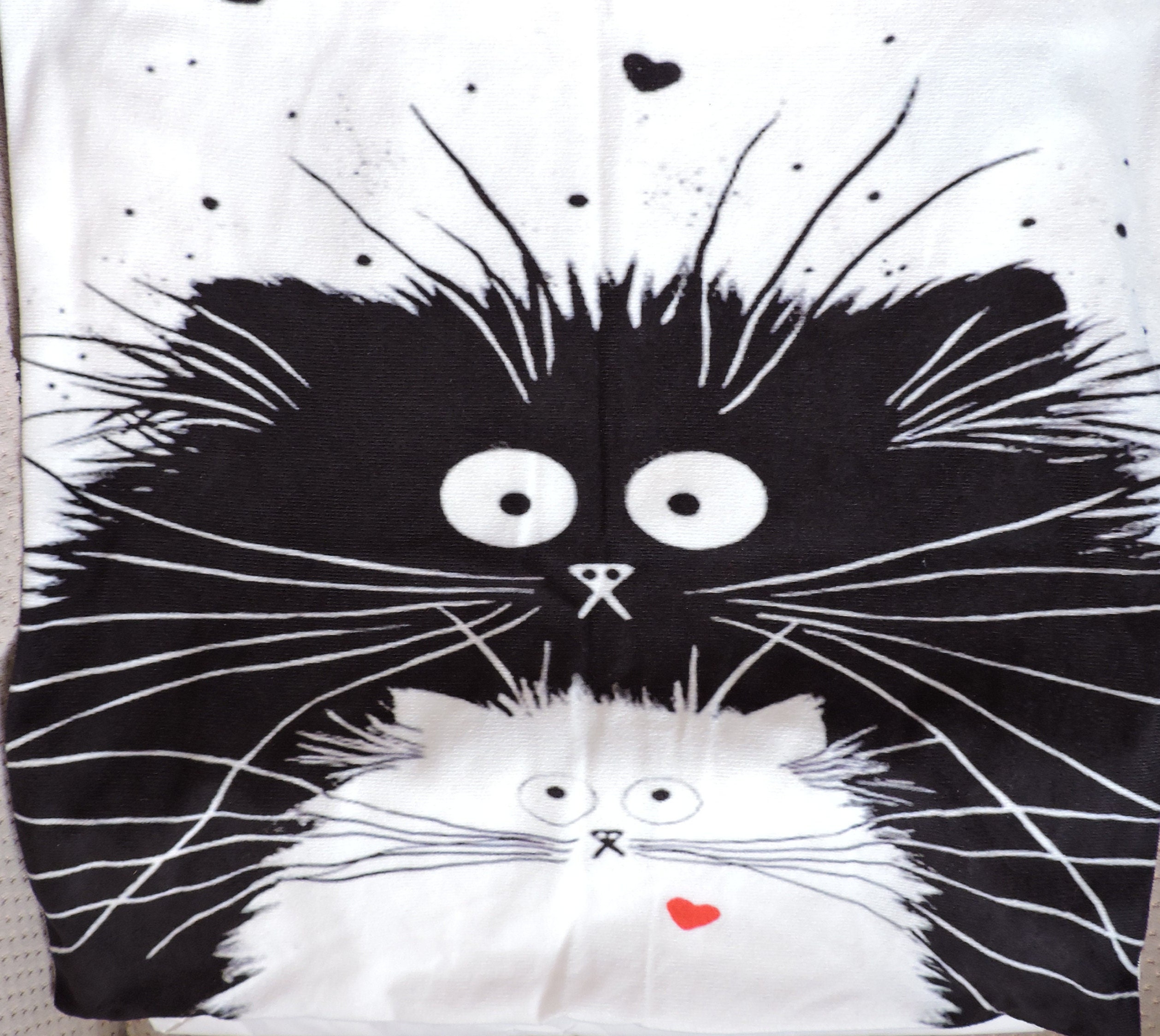 Black And White Cat Cartoon Show