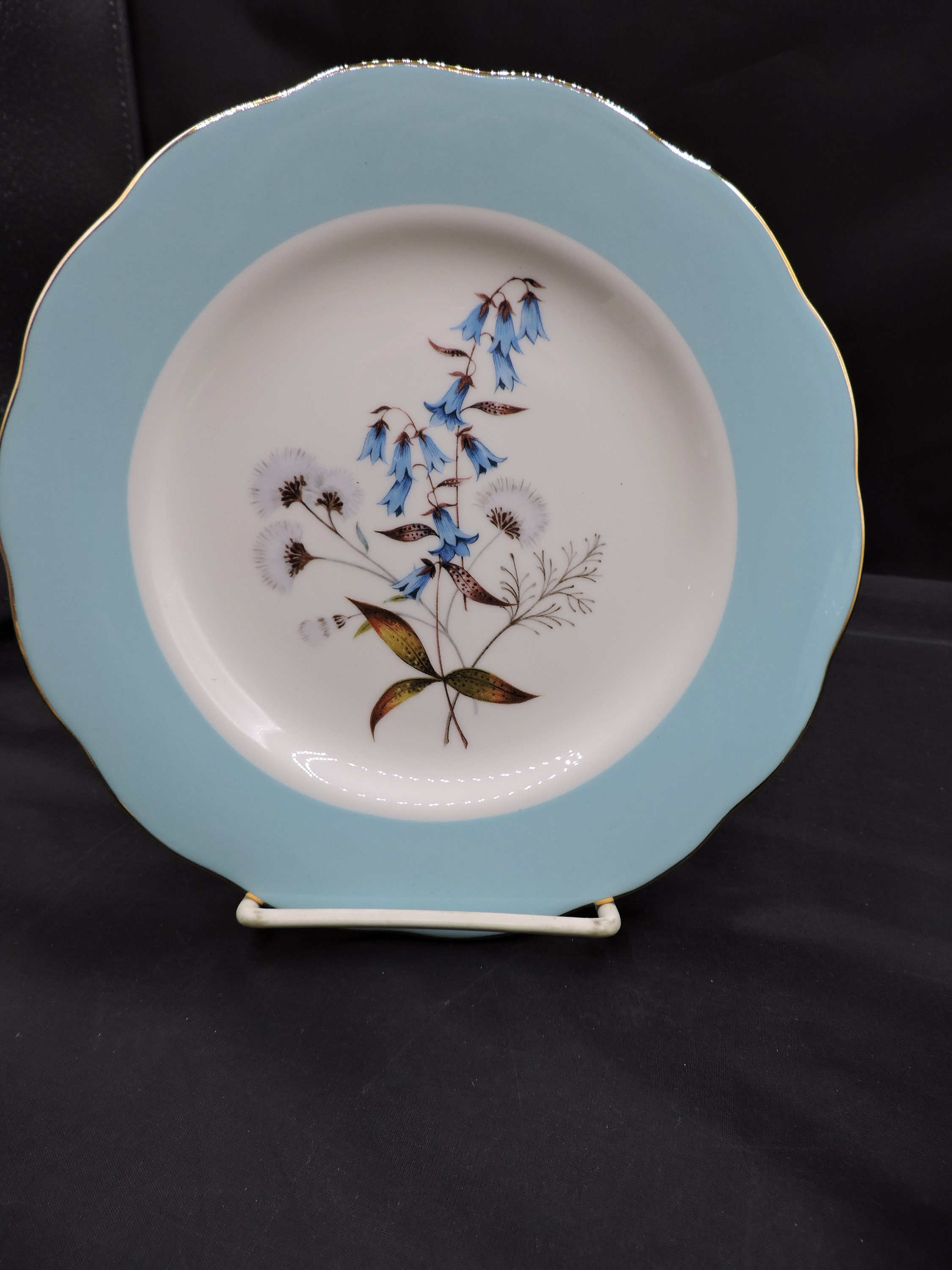 Royal Albert 1950's Festival 100 Years Royal Albert Collector Cup ...