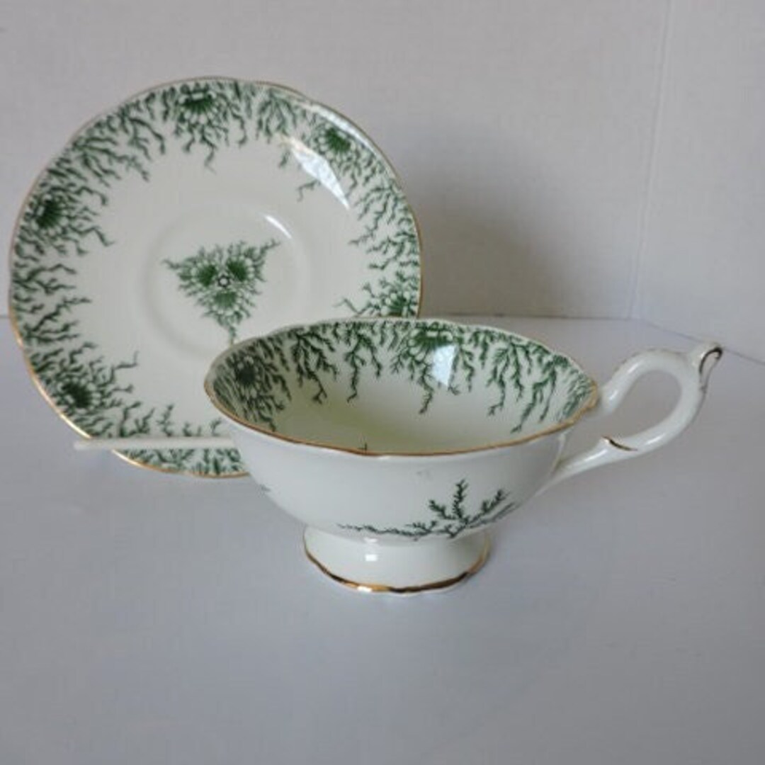 Coalport Sea Shells and Grass Bone China Vintage Cup & Saucer High ...