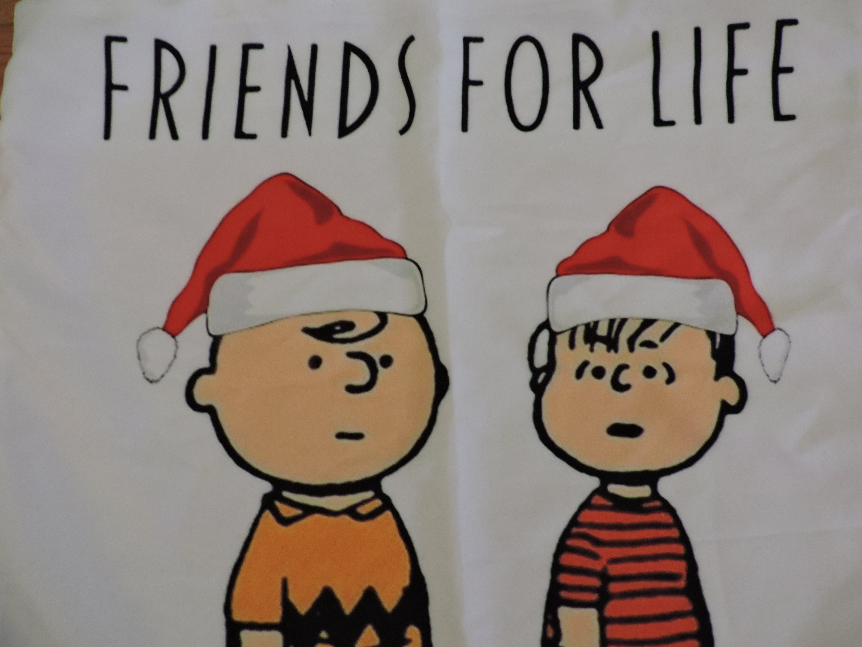 Charlie Brown Winter Hat
