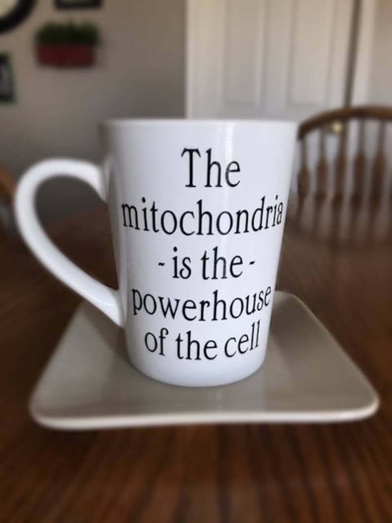 Mitochondria Biology Mug Biology Coffee Mug Biology Gifts - Etsy