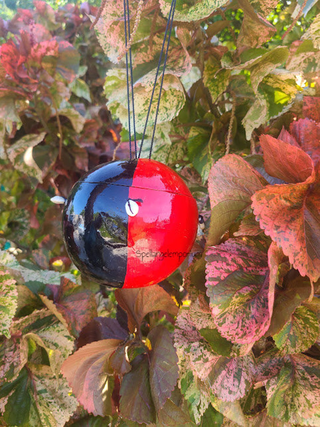 Guiro De Elegua / Guiro De Echu - Guiro De Eshu - Elegua Gourd ...