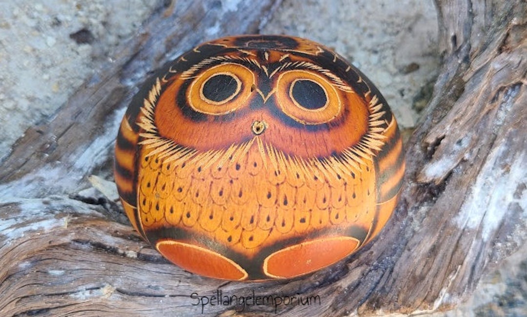 Guiro With Hand Painted Owl/ Guiro Con Búho Pintado a Mano - Ogun Gourd ...