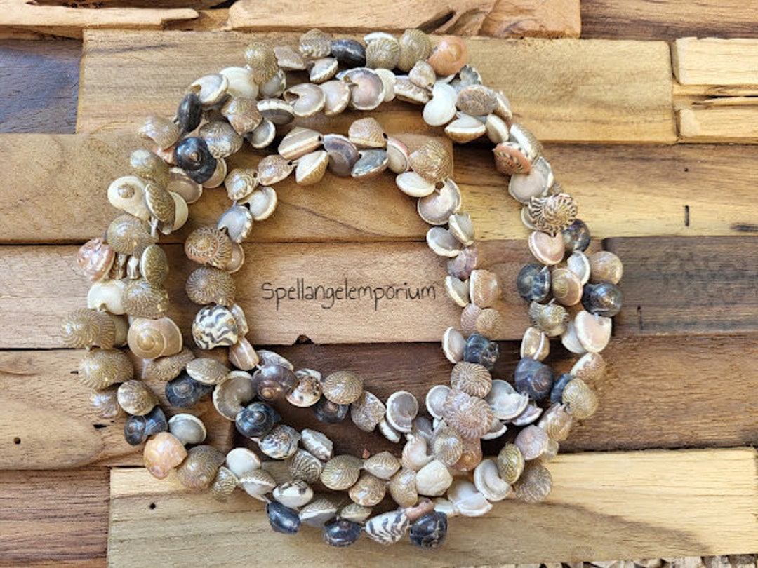 Olokun Blessed Shell Necklace - Collar De Caracol Bendecida Por Olokun ...