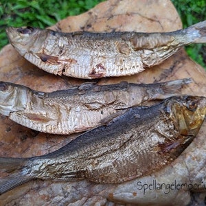 Dried Fish Smoked Fish Pescado Ahumado Santeria Ifa - Etsy