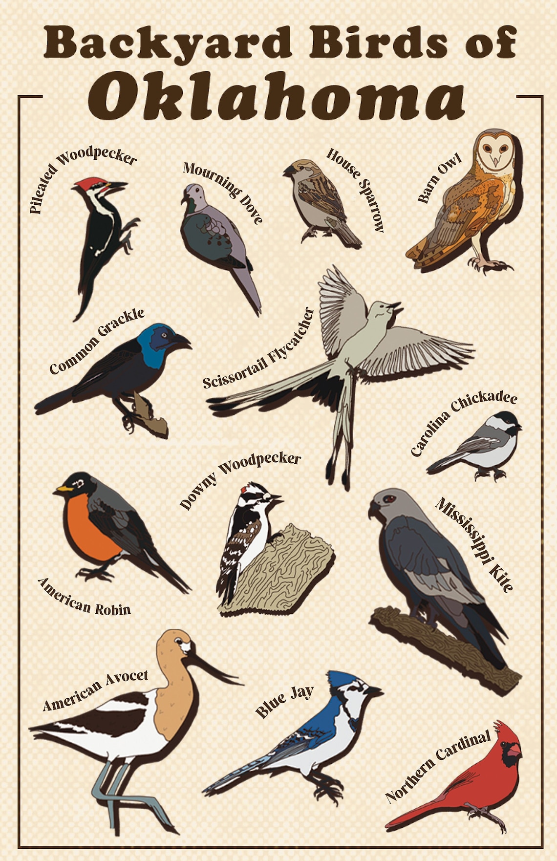 Backyard Birds of Oklahoma Poster - Etsy