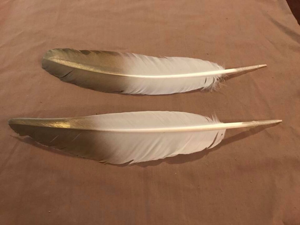 Painted Turkey Feather Pair - Etsy