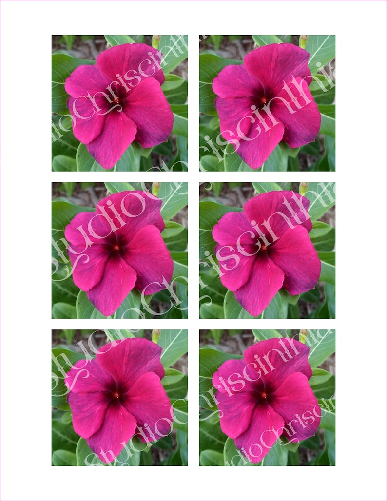 Printable 2x2 and 3x3 Inch Images, Valentine's Day 2024, Quotes ...