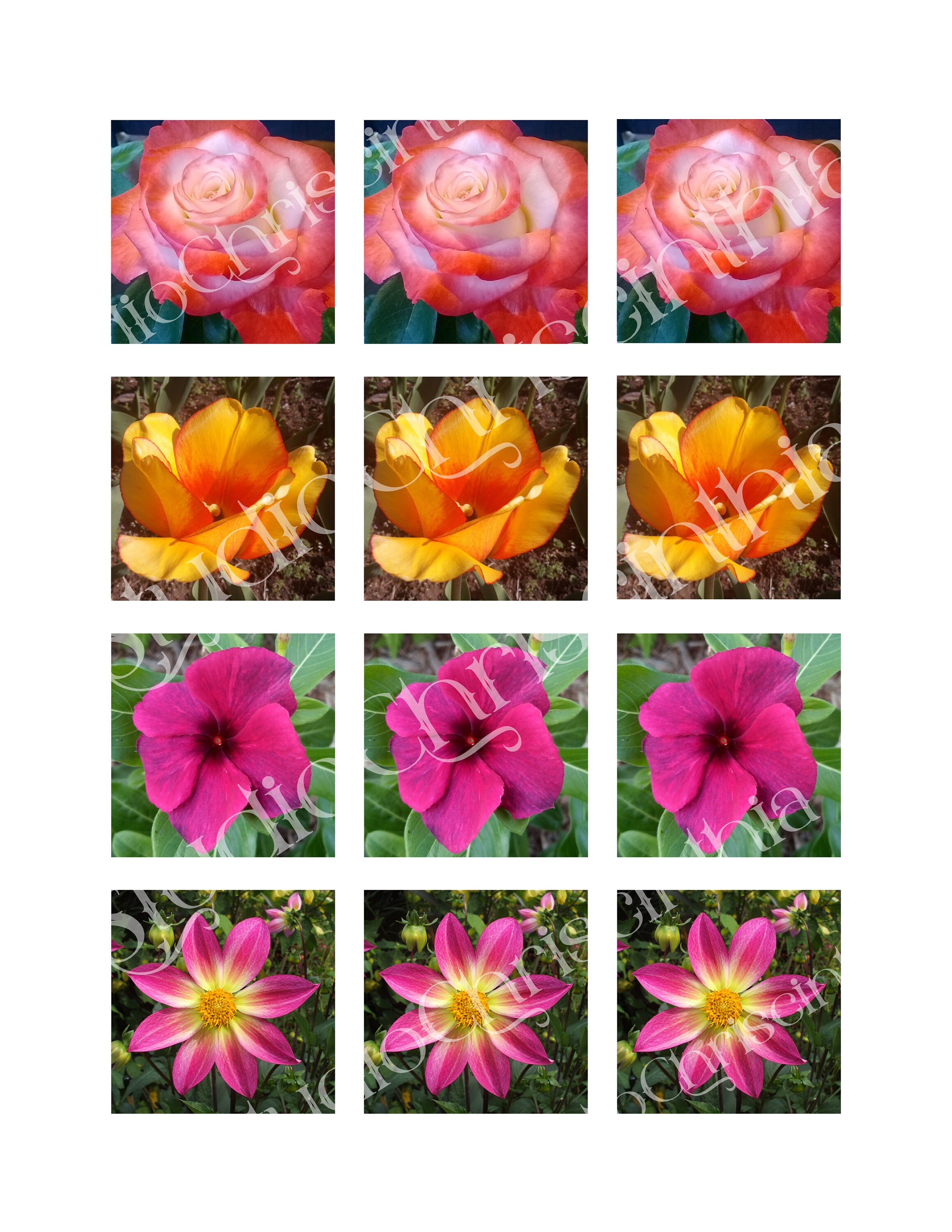 Printable 2x2 and 3x3 Inch Images, Valentine's Day 2024, Quotes ...
