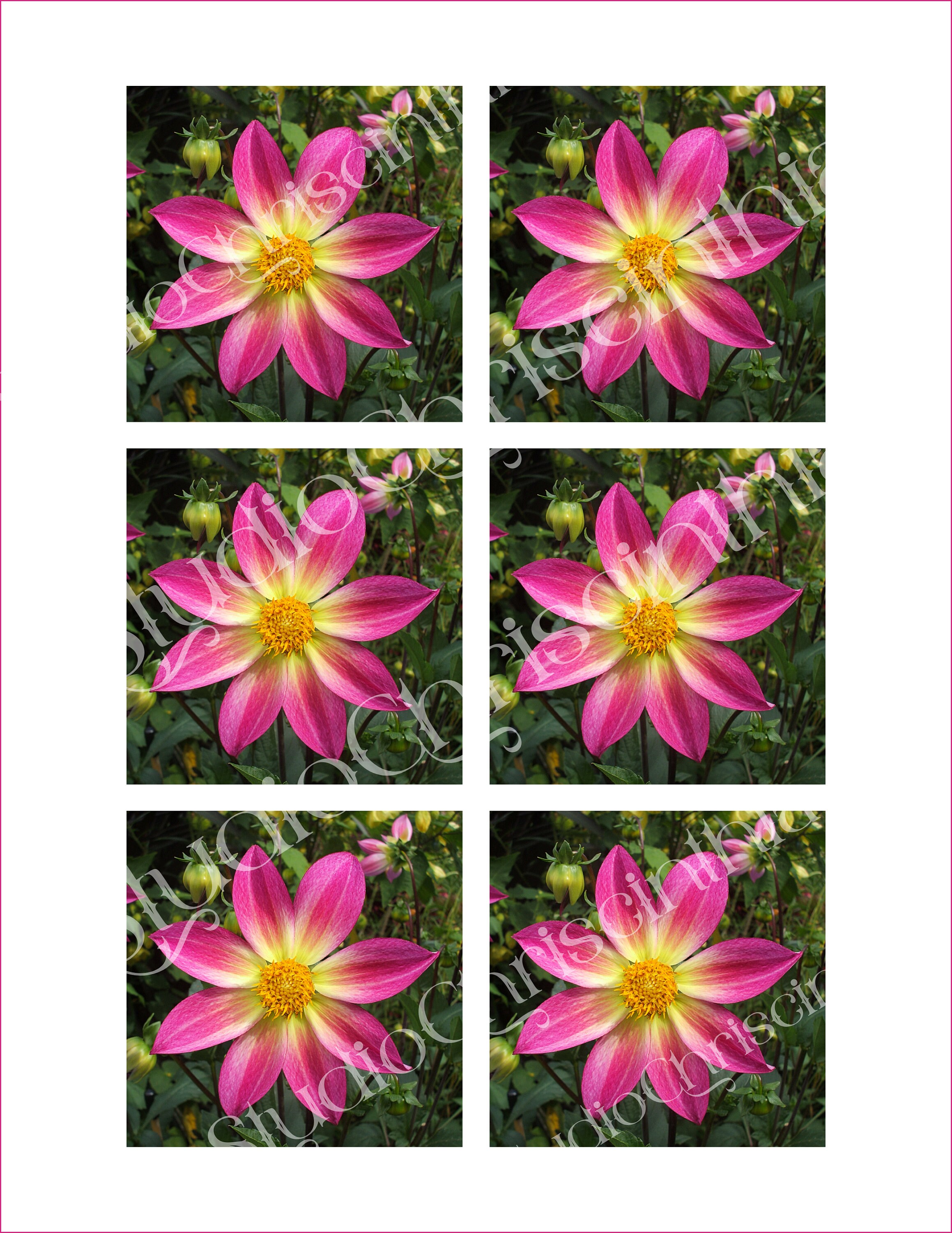 Printable 2x2 and 3x3 Inch Images, Valentine's Day 2024, Quotes ...