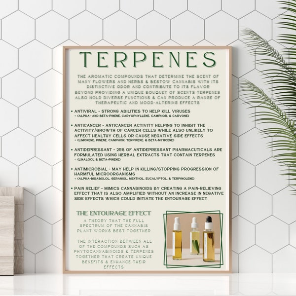 Terpene Poster - Etsy