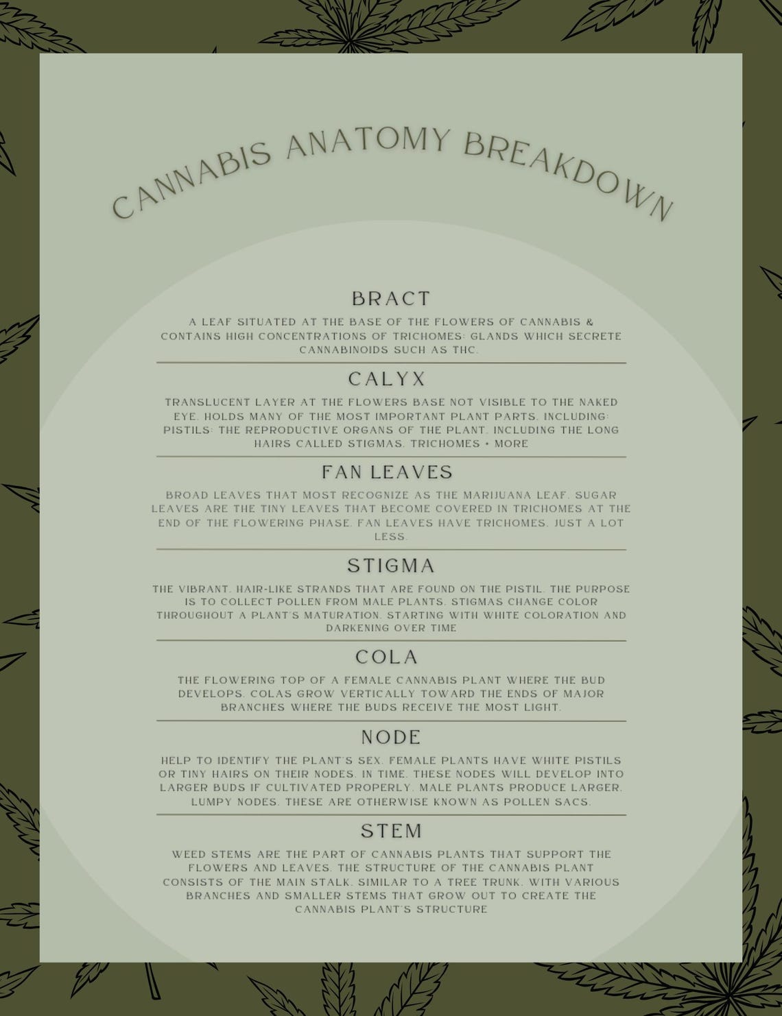 Cannabis Plant Anatomy Poster, Plant Anatomy, Cannabis Education ...
