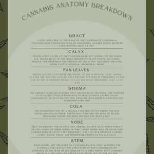 Cannabis Plant Anatomy Poster, Plant Anatomy, Cannabis Education ...