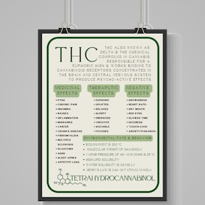 Cannabis 101 Educational Posters, Cannabis Plant Anatomy, THC, CBD ...
