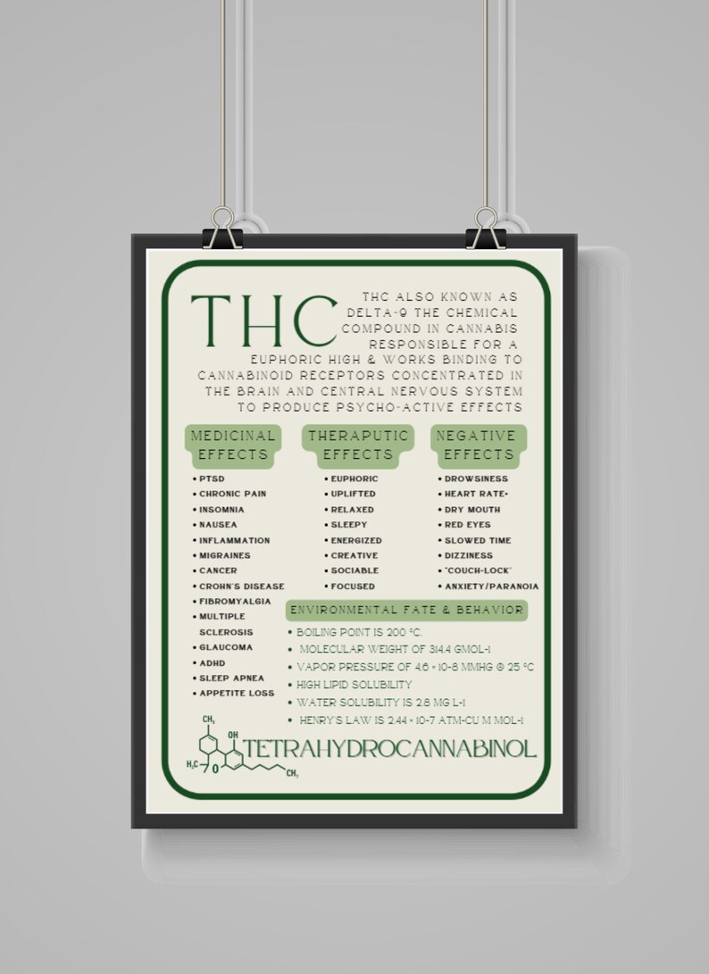 Cannabis 101 Educational Posters, Cannabis Plant Anatomy, THC, CBD ...