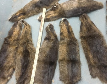 Nutria Fur - Etsy