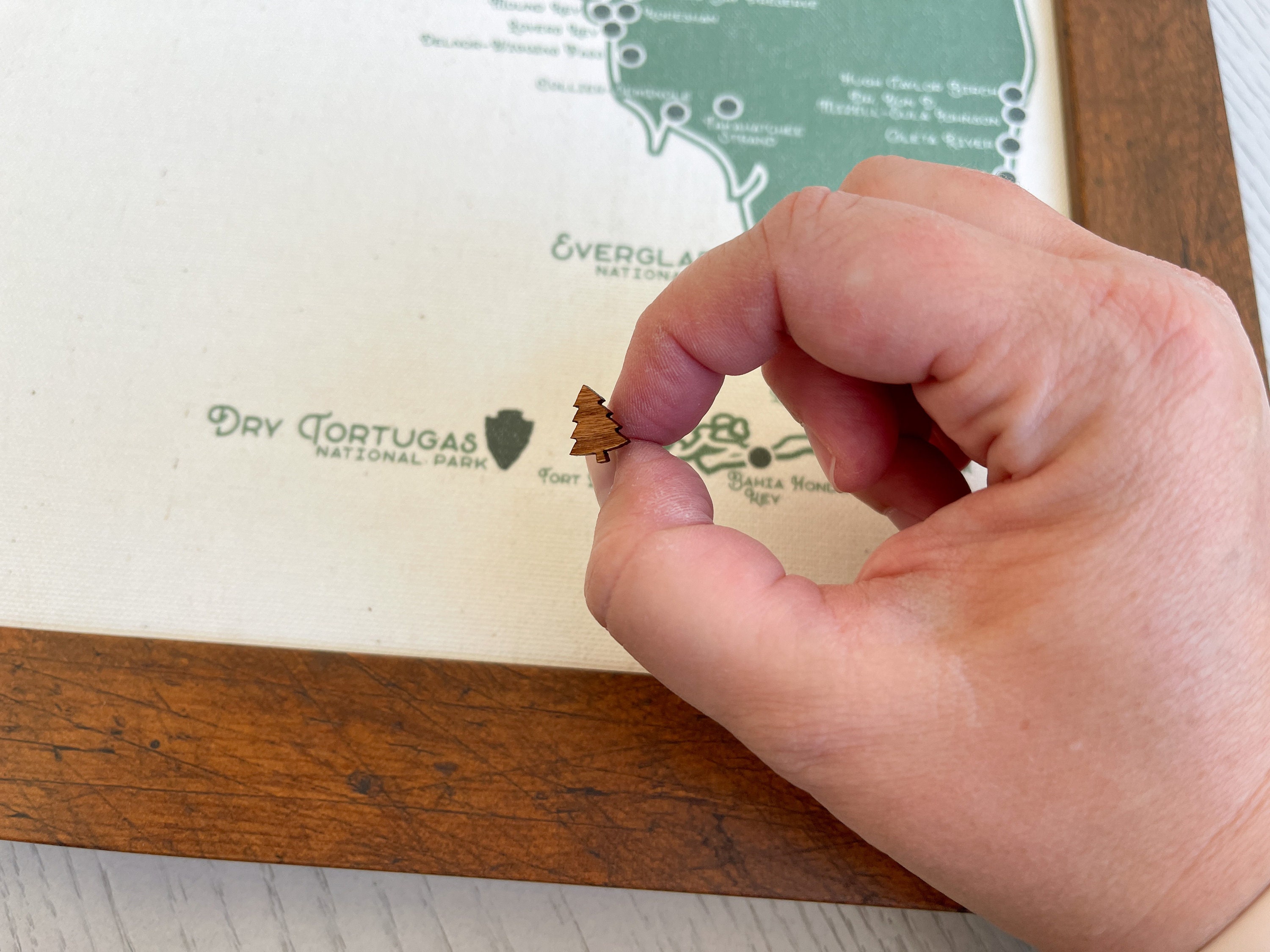 Florida State Park Push Pin Map: Adventure Tracker, Wooden Tree Pins - Etsy