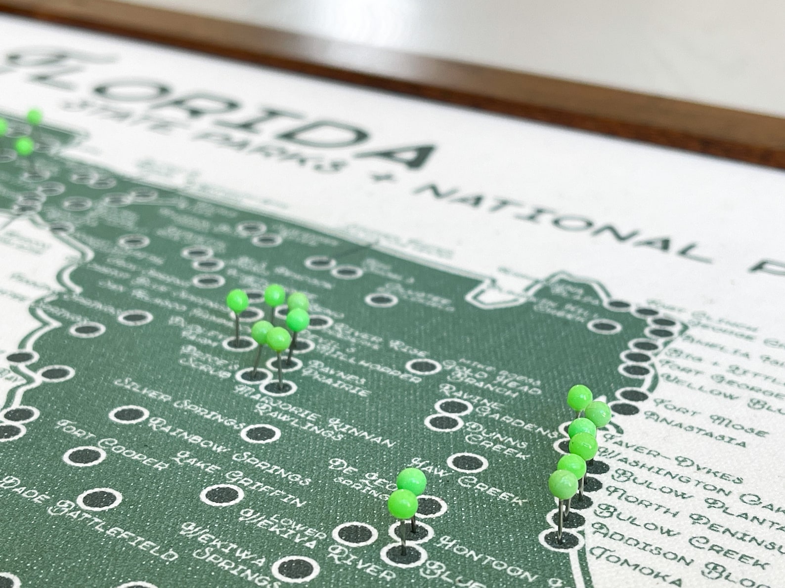 Florida State Park Push Pin Map: Adventure Tracker, Wooden Tree Pins - Etsy