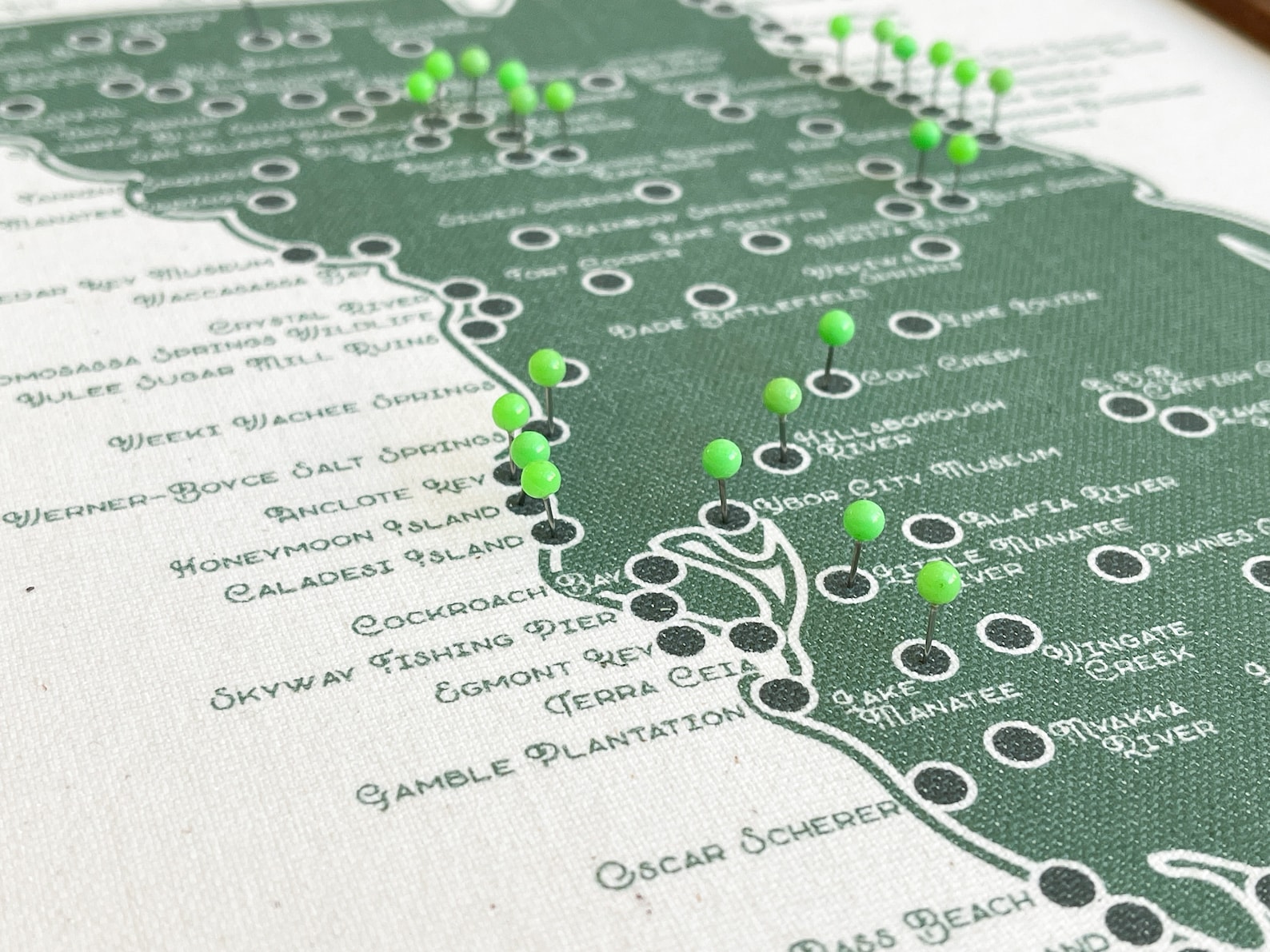 Florida State Park Push Pin Map: Adventure Tracker, Wooden Tree Pins - Etsy
