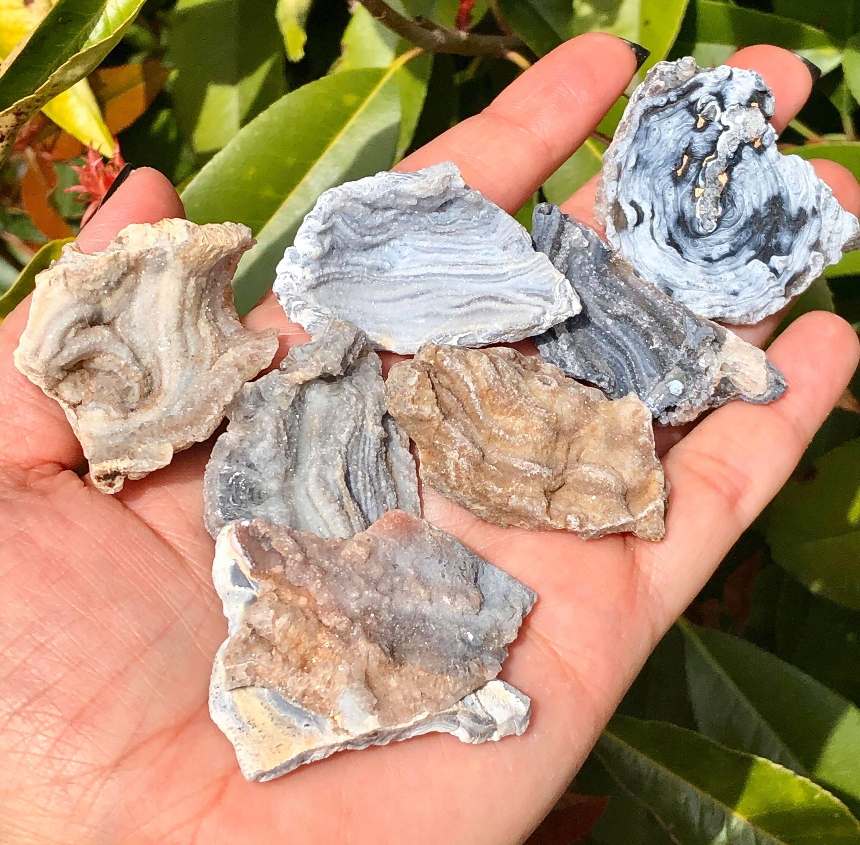 Chalcedony Rose Amorite Druzy Shell | Etsy