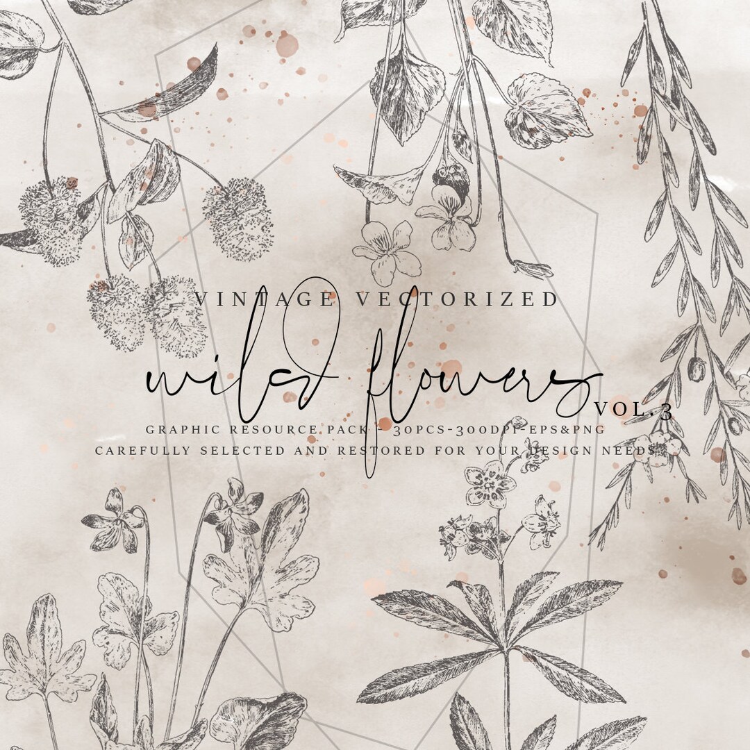 Wild Flowers Clipart Vol3 Botanical Illustration Digital Art Graphic ...