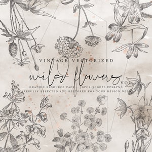 Vintage Wildflower Clipart Botanical Illustration Vector Bundle Vintage ...