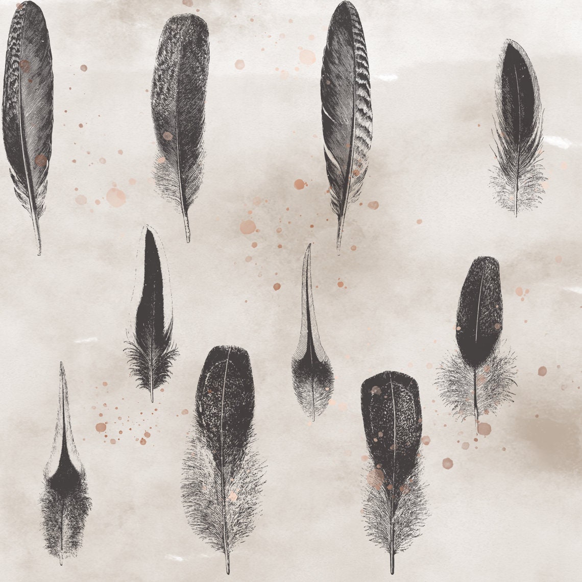 Feathers Clipart Bird Print Illustration Digital Art Graphic Design ...