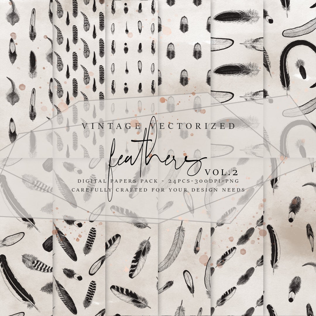 Feathers Digital Paper Vol.2 Feather Clipart Seamless Pattern - Etsy