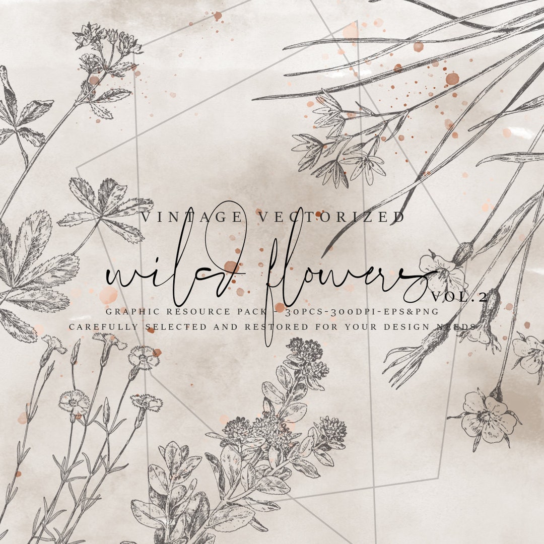 Wild Flowers Clipart Vol2 Botanical Illustration Digital Art Graphic ...