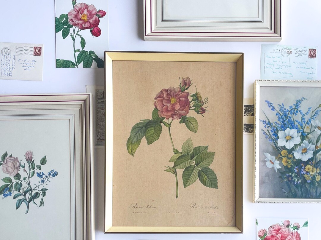 Vintage Flower Wall Decor/ Botanical Prints /floral Print Pictures ...