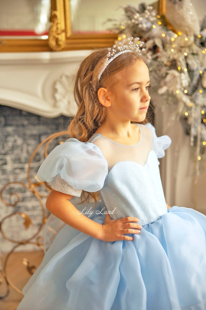 Blue Birthday Party Girl Dress, Flower Girl Dress, Tutu Organza Dress ...