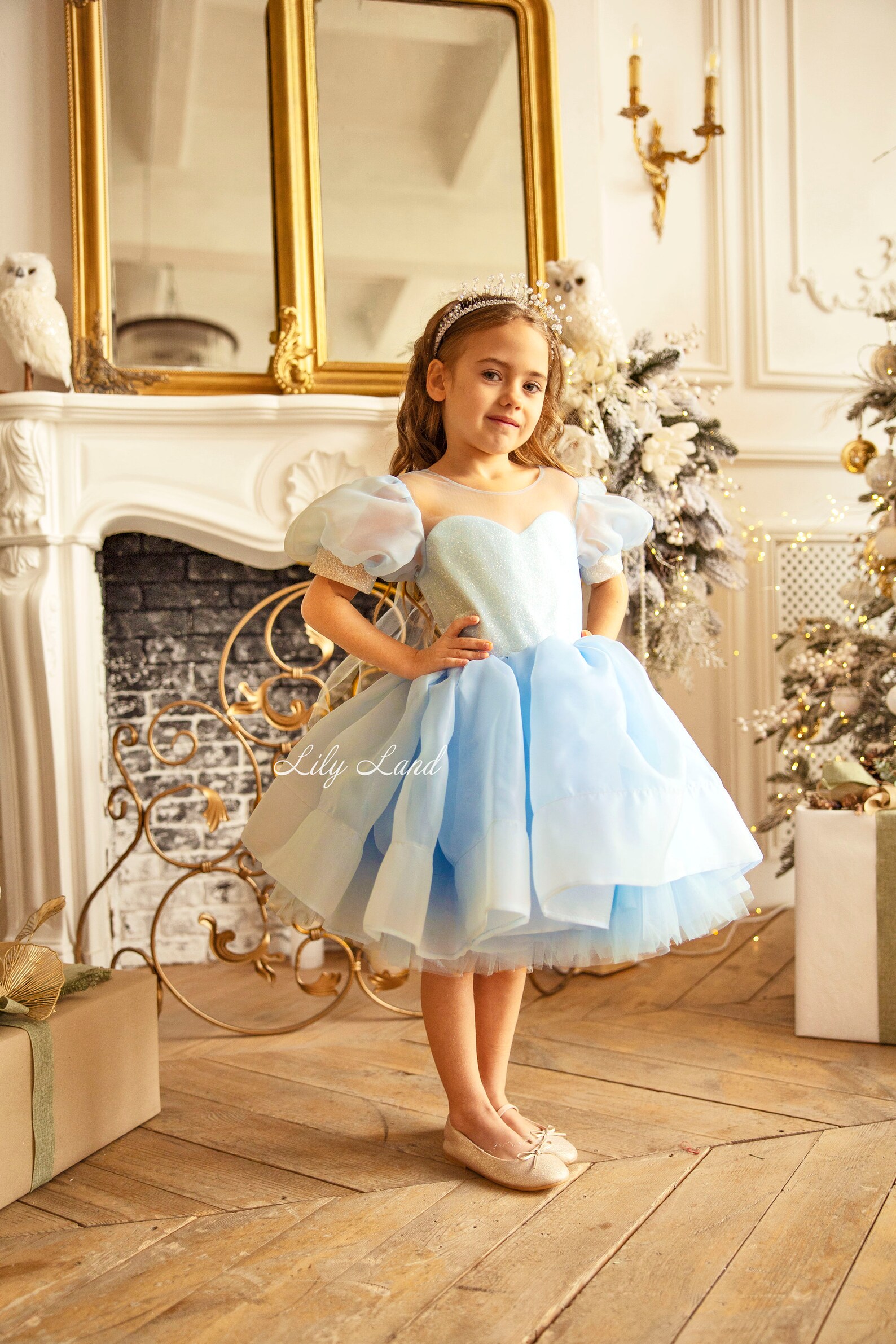 Blue Birthday Party Girl Dress Flower Girl Dress Tutu | Etsy