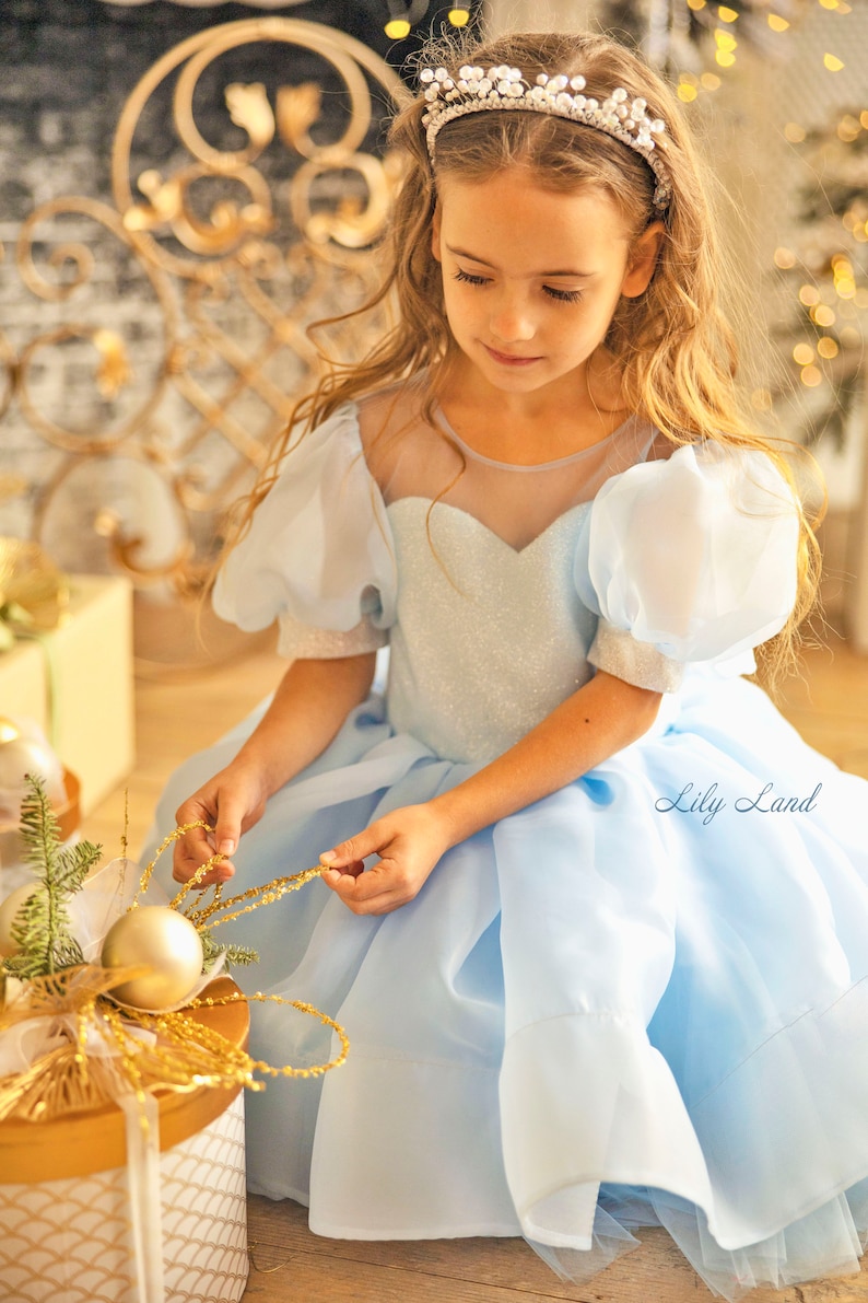 Blue Birthday Party Girl Dress Flower Girl Dress Tutu | Etsy