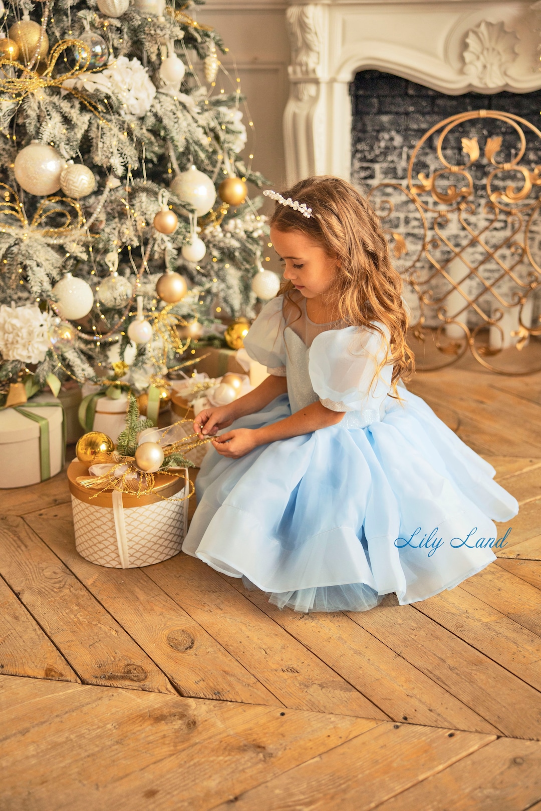 Blue Birthday Party Girl Dress, Flower Girl Dress, Tutu Organza Dress ...